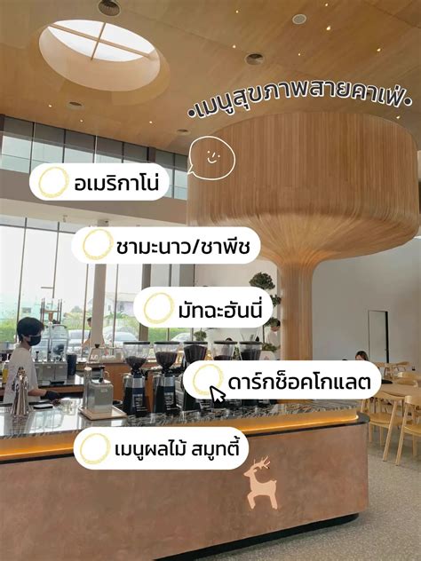 อยากสุขภาพดีต้องทำแบบนี้ ฉบับสายคาเฟ่🧋🍪🥛 แกลเลอรีที่โพสต์โดย G