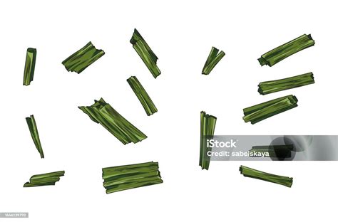 Chopped Lemongrass Plant Hand Drawn Sketch Vector Illustration Isolated