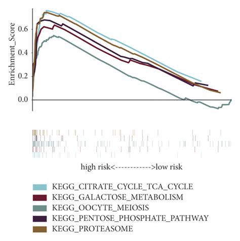 Gene Set Enrichment Analysis Of The Necroptosis Related Prognostic Download Scientific Diagram