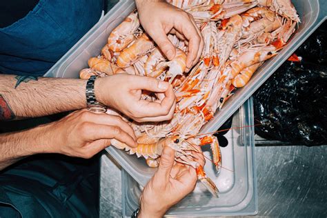 Cucina Itinerante Con Francesco Capuzzo Dolcetta E Guglielmo Chiarapini