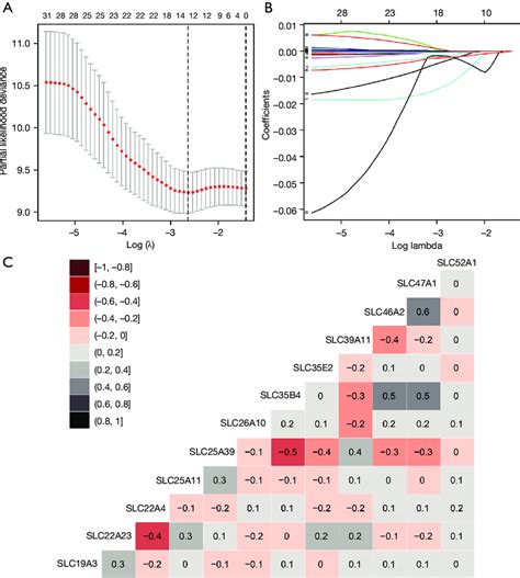 Matrix Graphs Of Pearsons Correlation Analysis Of Slc Genes A Lasso