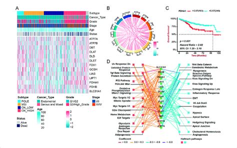 Associations Between Cuproptosis Gene Expression And Download