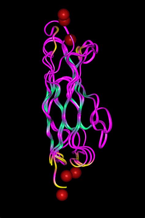 Chemistry Of Life Cadherins