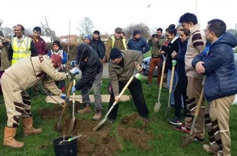 Orchard Forest A Fruit Tree For Every Home Communities Planting