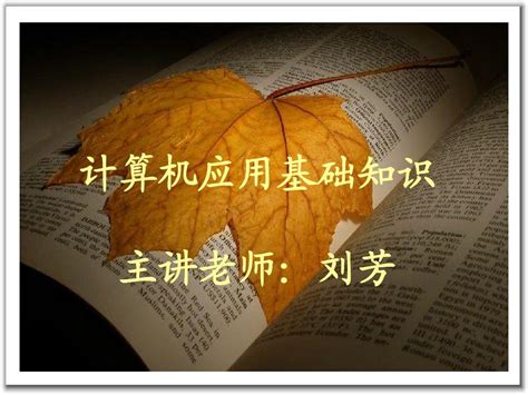 第一章计算机应用基础 计算机基本知识课件 1word文档在线阅读与下载无忧文档