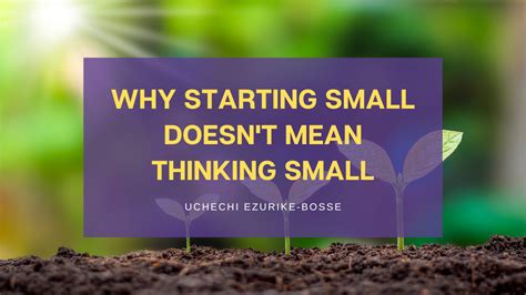 Why Starting Small Doesnt Mean Thinking Small