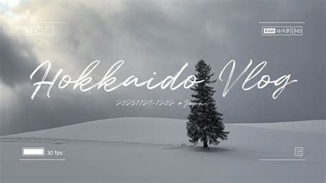 커플 여행인줄 알았는데 이별 여행이었던 훗카이도 여행 Vlog Youtube