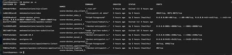 Ozone On Oracle Cloud Arm M1 Ubuntu Server Ozone His Openmrs Talk
