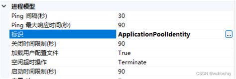 Aspnet Core：部署到 Iisnetcore发布到iis Csdn博客
