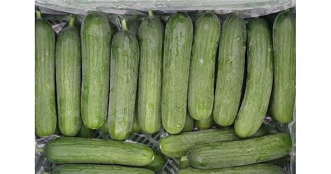 Поскъпват краставиците и червените чушки поевтиняват дините Български Фермер