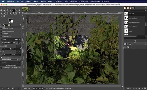 画像編集ソフトgimpの使い方。画像切り抜きやテキスト挿入など主な使い方を紹介
