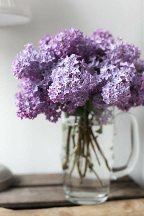 I N T H E V A S E Lilac Tree Lilac Flowers Pretty Flowers