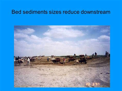 Sediment Transport In Wadi Systems Ppt Download