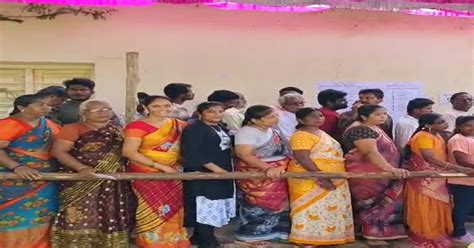 Voter Turnout In Odisha Reaches 5291 By 3 Pm