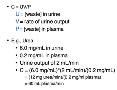 Lecture 30 Urine Concentration Effects Of Hormones And Lecture 31 Renal Buffer System And Bladder