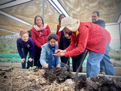 Gobierno Presenta Proyecto De Ley De Reciclaje De Residuos Vegetales