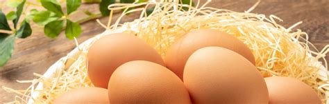 卵の「賞味期限」とは？賞味期限の決め方や卵の賞味期限の疑問を解説 株式会社鳥幸商店