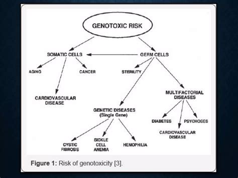 Genotoxicity Pptx