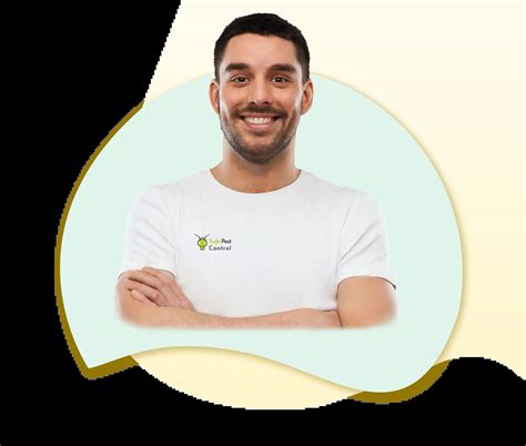 Managing Spiders In Sydney The Efficiency Of Safe Pest Control