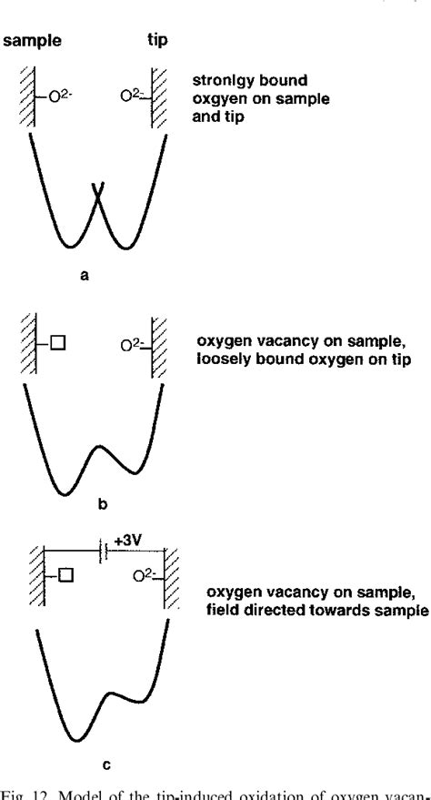 Figure 1 From Intrinsic Defects On A Tio21101×1 Surface And Their