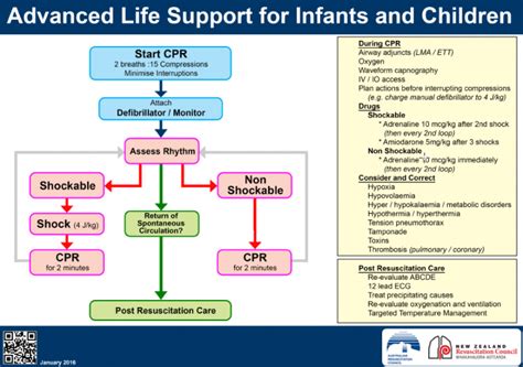 Anzcor Paediatric Cardiorespiratory Arrest Flowchart Jan2016 Eduacute