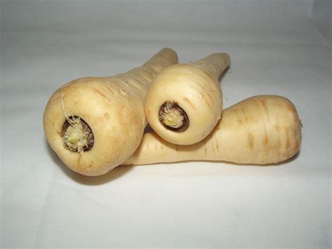 Parsnip Vegetables Fresh Free Photo On Pixabay