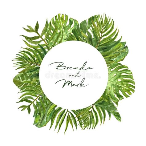 水彩热带植物和叶子围绕花圈 Lalm叶子，monstera，香蕉叶子 设计的绿叶现代边界 库存例证 插画 包括有 邀请 装饰
