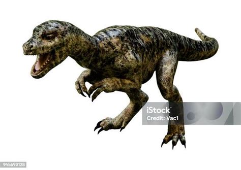 ภาพประกอบ 3 มิติไดโนเสาร์ Tyrannosaurus ฟักบนสีขาว ภาพสต็อก ดาวน์โหลดรูปภาพตอนนี้ Jurassic