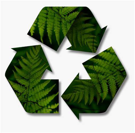 Freetoedit Recycable Reciclable Recycling Reciclado Hd Png
