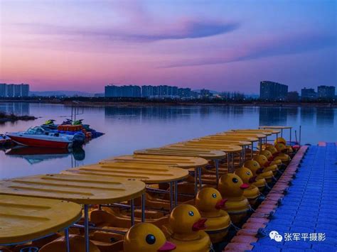 大美汝州 夜观北汝河陈亚茹花海穿越