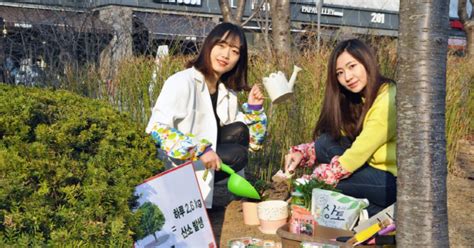 포토 다이소 식목일 맞이 다양한 원예용품 선보여~