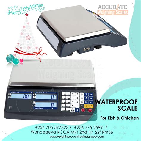 Double LED Display Table Top Digital Weighing Scale