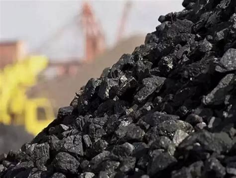 Нүүрсний хэрэгт улс төрд нөлөө бүхий 13 хүнийг яллагдагчаар татан шалгажээ