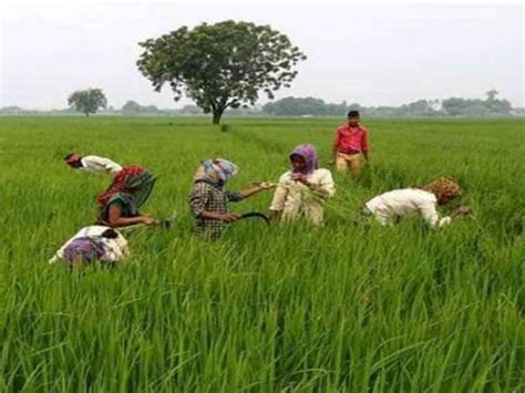 Other Issues Including Adulteration In Food Items Were Raised खाद्य