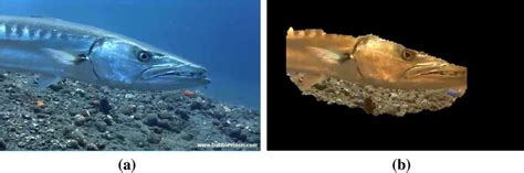 A Input Underwater Image B Result Of Automatic GrabCut Algorithm