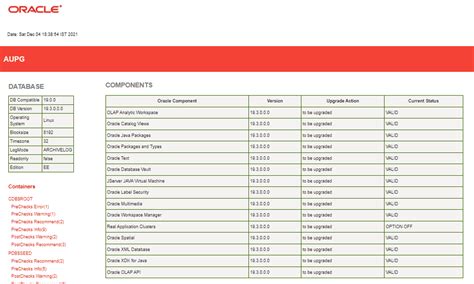 autoupgrade oracle database 19c to 21c ~ blog for oracle rac goldengate