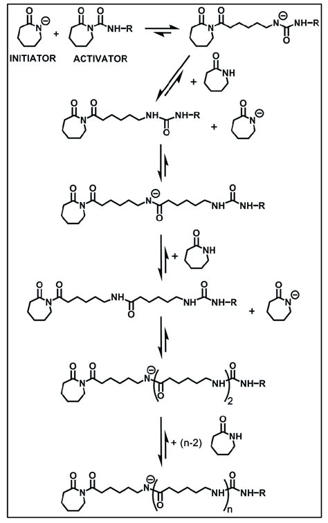Scheme 1 Anionic Ring Opening Polymerization Arop Of ε Caprolactam Download Scientific