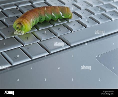 Laptop Notebook Computers Computer Technical Insect Technology Bug