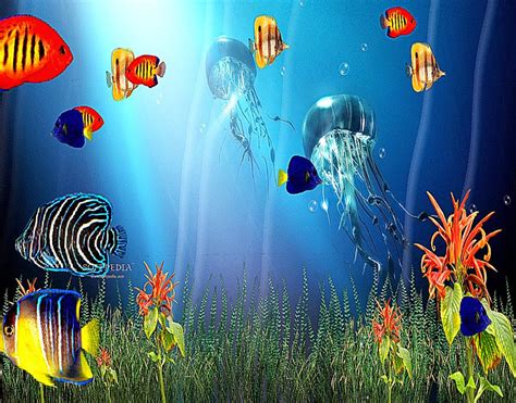 Free Screensavers Animals At Stella Prell Blog