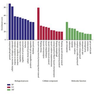 GO Enrichment Analysis Diagram Download Scientific Diagram