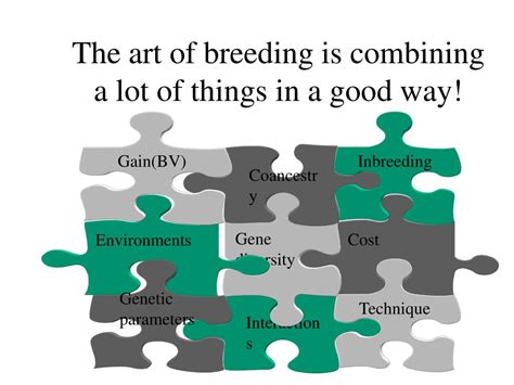 Ppt Quantitative Genetics And Breeding Theory Powerpoint Presentation Id 6760551