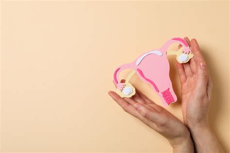 Female Fertility Cycle 30 Days And Fertility At Each Stage