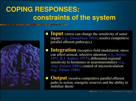 PPT Causes And Consequences Of The Stress Response PowerPoint Presentation ID