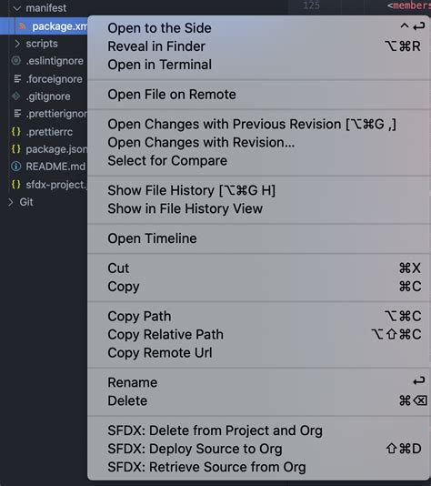 Sfdx Retrieve Source In Manifest From Org Not Available Anymore