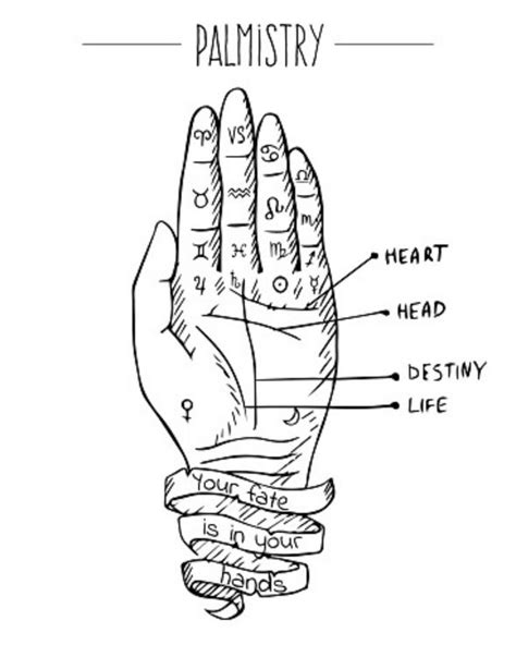 Palm Reading For Beginners What Are The Palmistry Lines How To Read