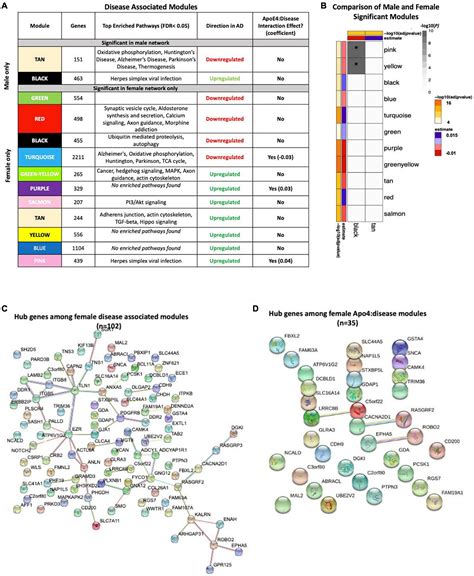 Frontiers Sex Specific Cross Tissue Meta Analysis Identifies Immune Dysregulation In Women