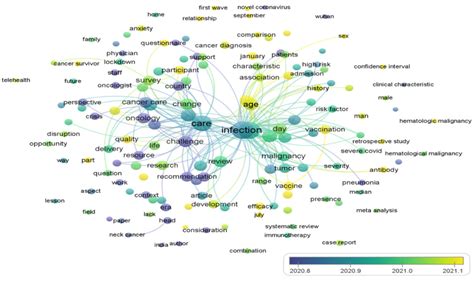 Overlay Visualization Of Terms Co Occurrence Cluster Analysis The