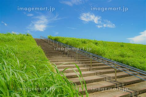 江戸川の河川敷松戸市矢切の写真素材 205842327 イメージマート