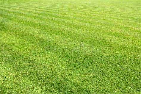 Perfectly Striped Freshly Mowed Garden Lawn Stock Image Image Of Beautiful Meadow