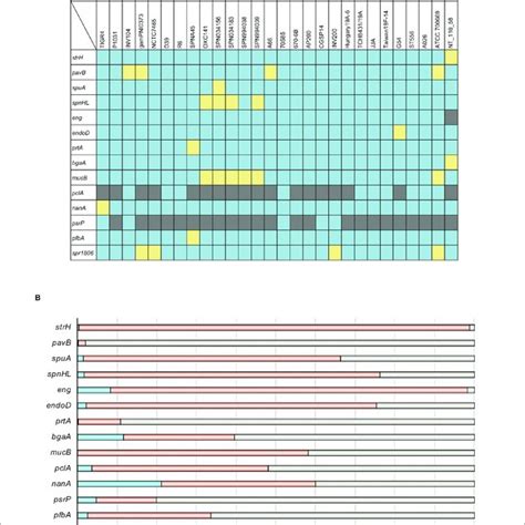 Distribution Of Genes That Encode Cell Wall Anchoring Proteins And